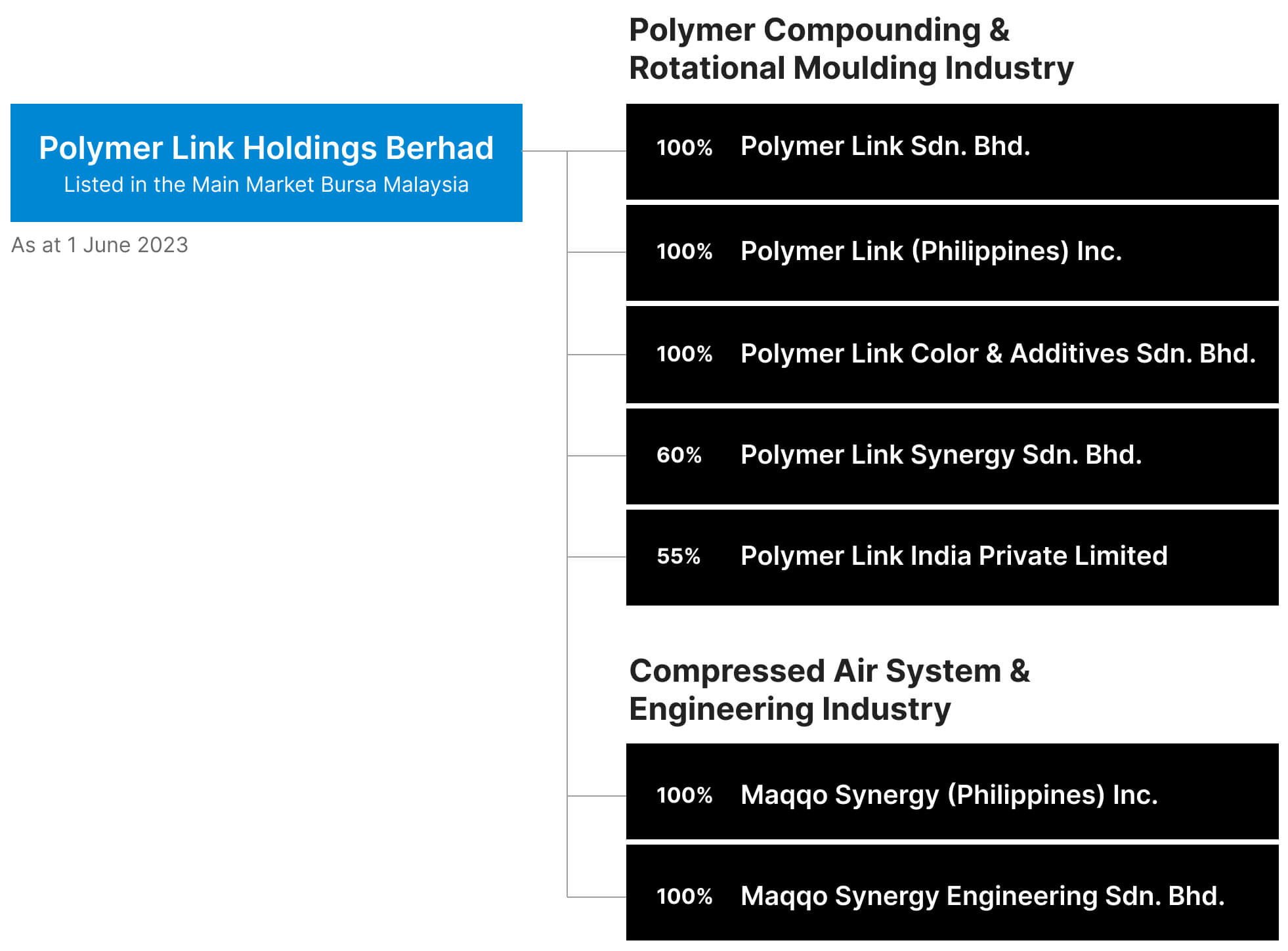 Our Group Structure - PolymerLink